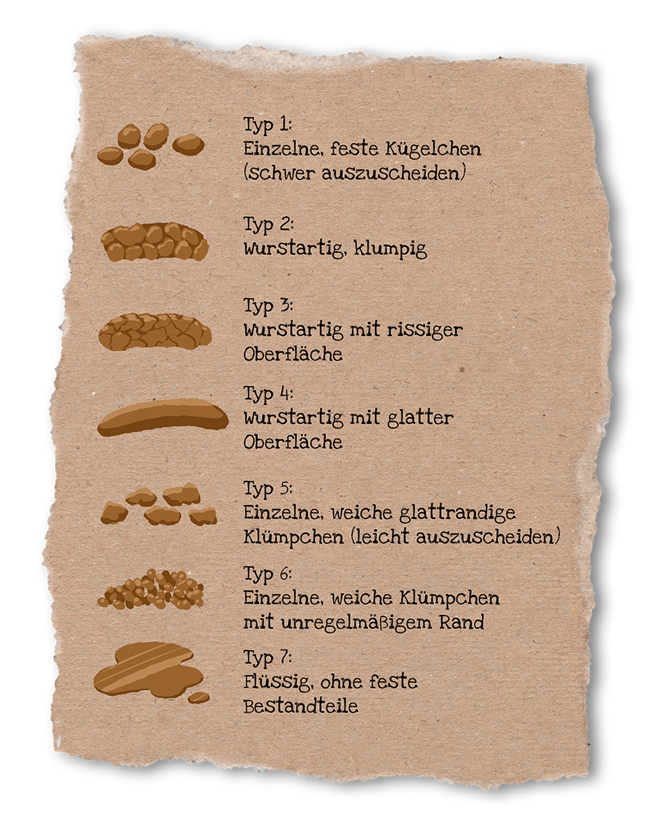 Blick ins Klo - Bauchstelle